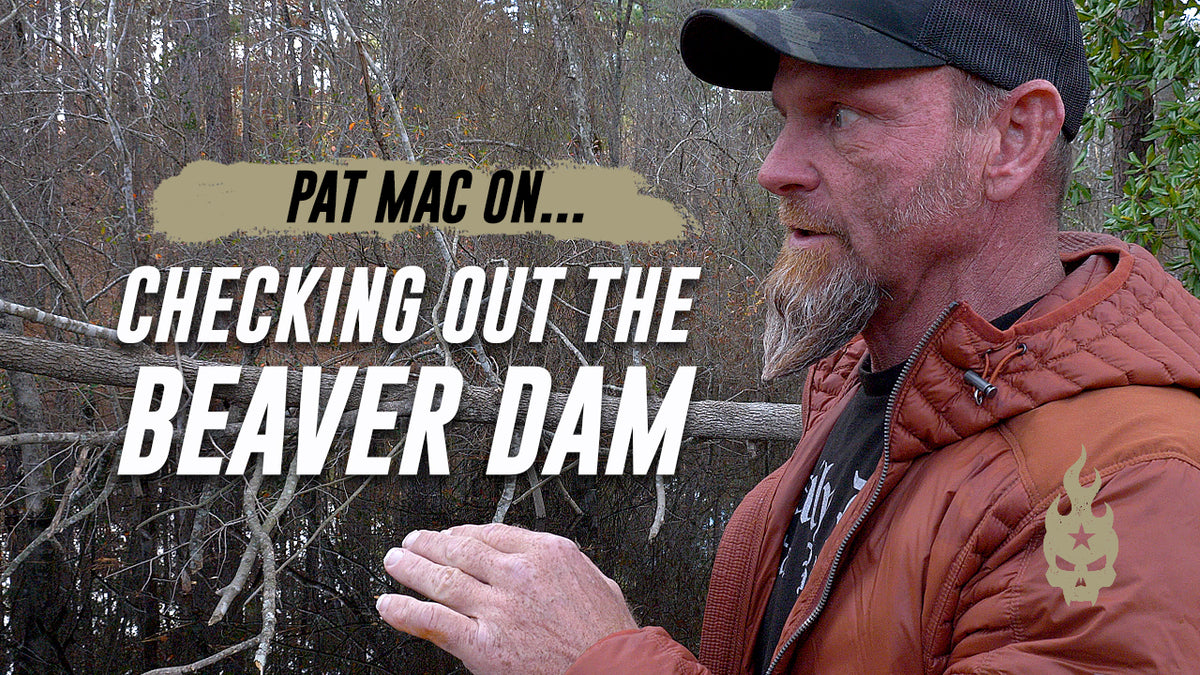 Checking Out the Beaver Dam – Patrick McNamara